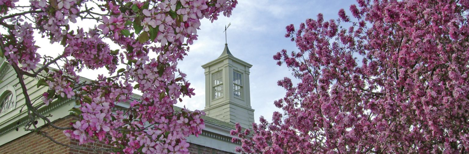 Spring into Downtown Littleton - Downtown Littleton